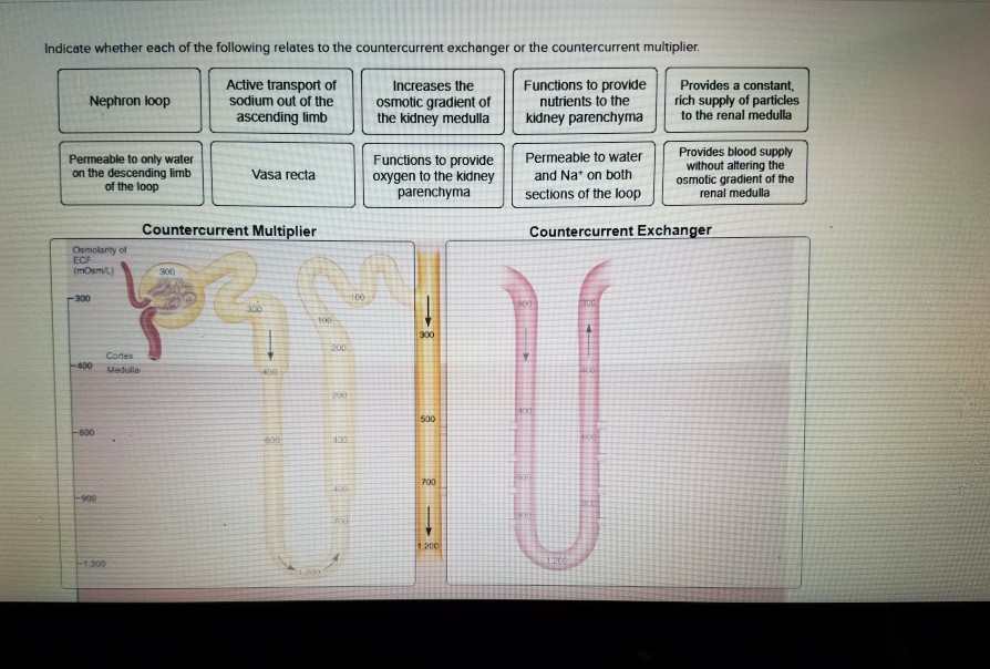 Solved Indicate whether each of the following relates to the | Chegg.com