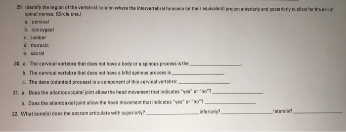 Solved Identify the region of the vertebral column where the | Chegg.com