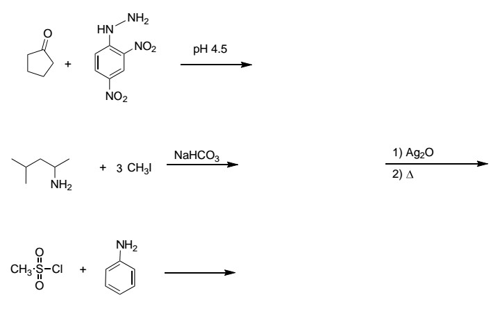 Solved NH2 HN NO2 pH 4.5 NO2 1) Ag20 2)? NaHCO3 + 3 CH31 NH2 | Chegg.com