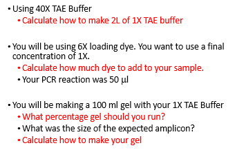 Solved Using 40X TAE Buffer Calculate how to make 2L of 1X | Chegg.com