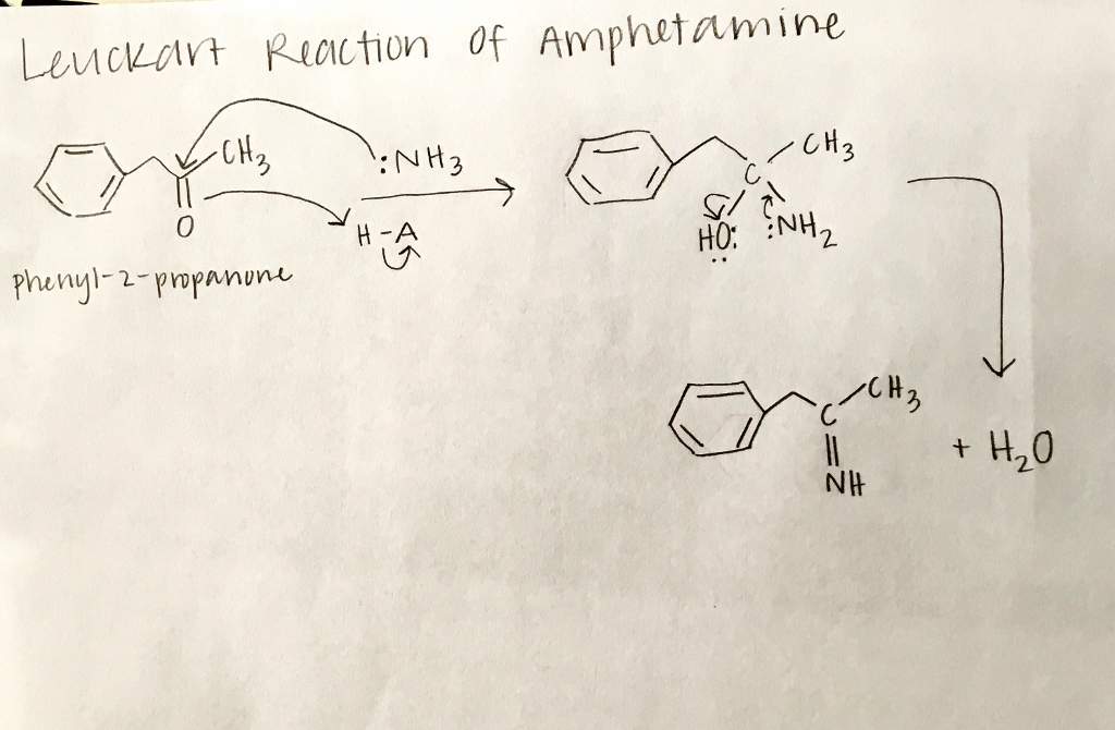 Solved Leuckart Reaction (reductive amination of ketones) of | Chegg.com