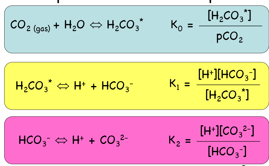 Solved The pCO2 and pH are 300 atm and 8.2 respectively. | Chegg.com