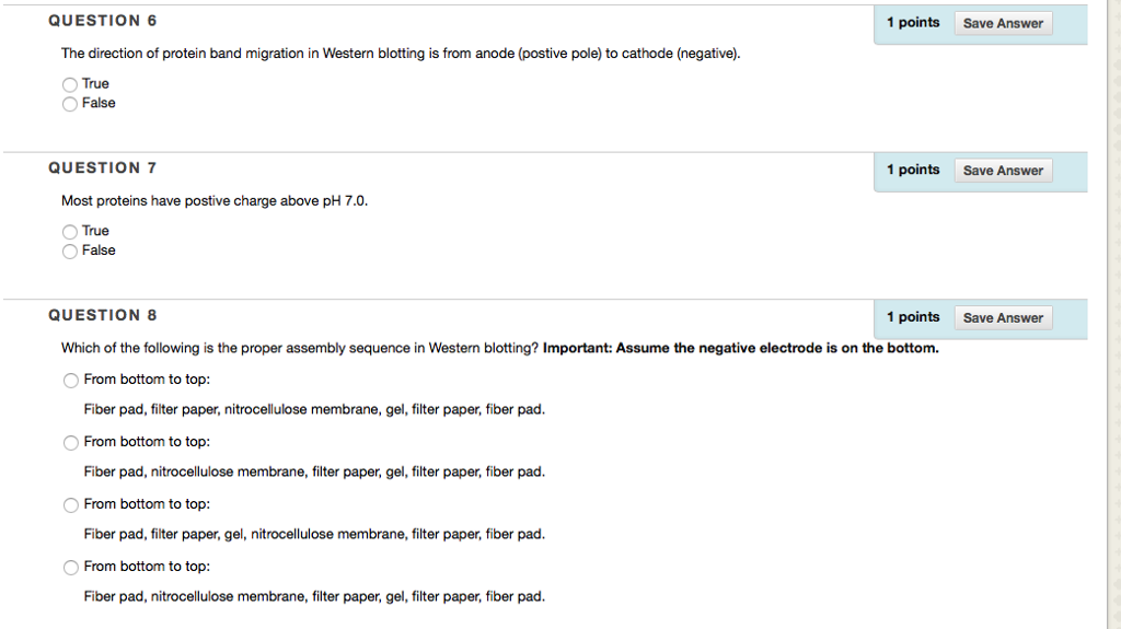 Solved QUESTION 6 1 points Save Answer The direction of | Chegg.com Solved QUESTION 6 1 points Save Answer The direction of | Chegg.com