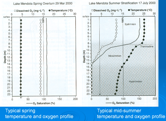 Solved For the following Vertical Profiles of Temperature | Chegg.com