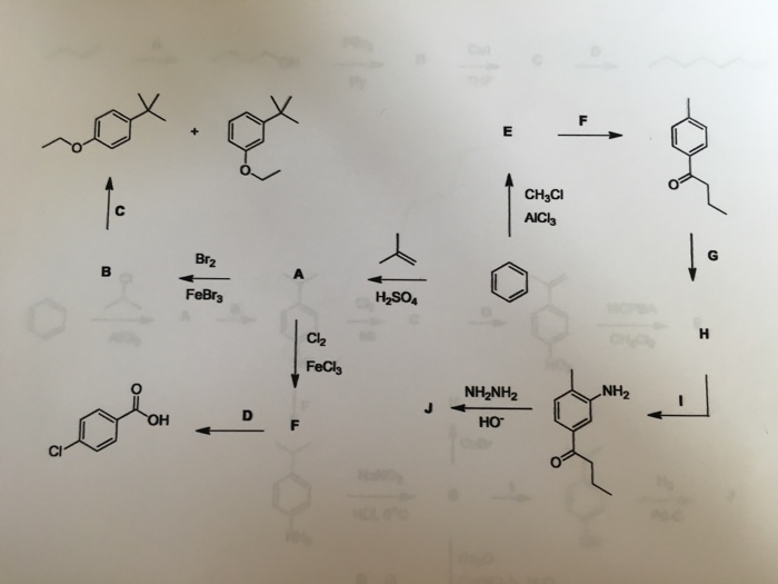 Solved CH3Cl Br2 FeBr3 H2SO4 FeCl NH2 NH2NH2 Hor Cl | Chegg.com