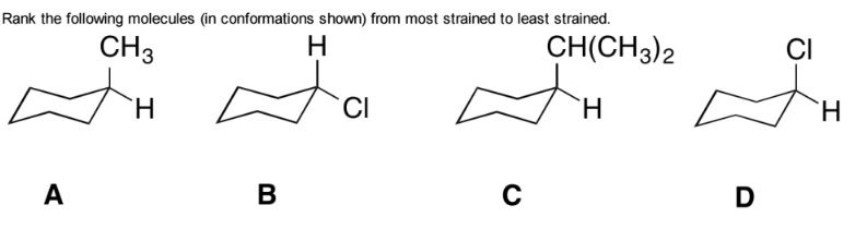 Solved Rank the following molecules (in conformations shown) | Chegg.com