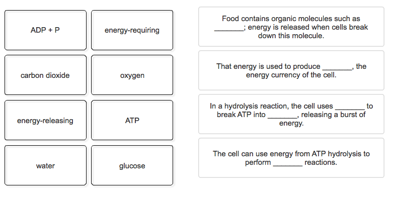 Solved Food contains organic molecules such as _; energy is | Chegg.com