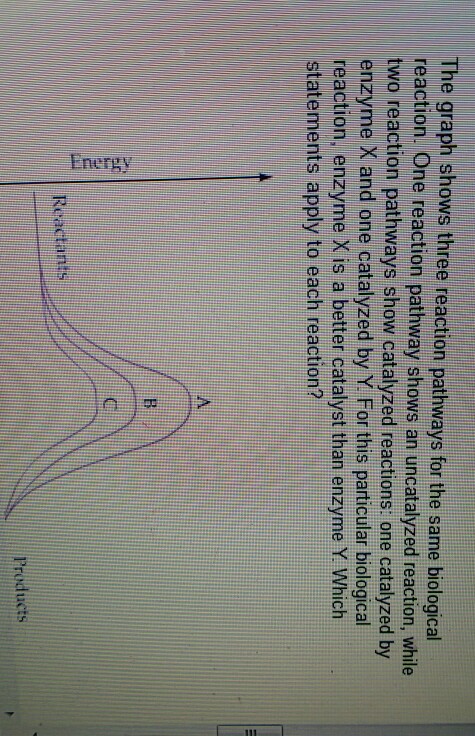 Solved he graph shows three reaction pathways for the same | Chegg.com