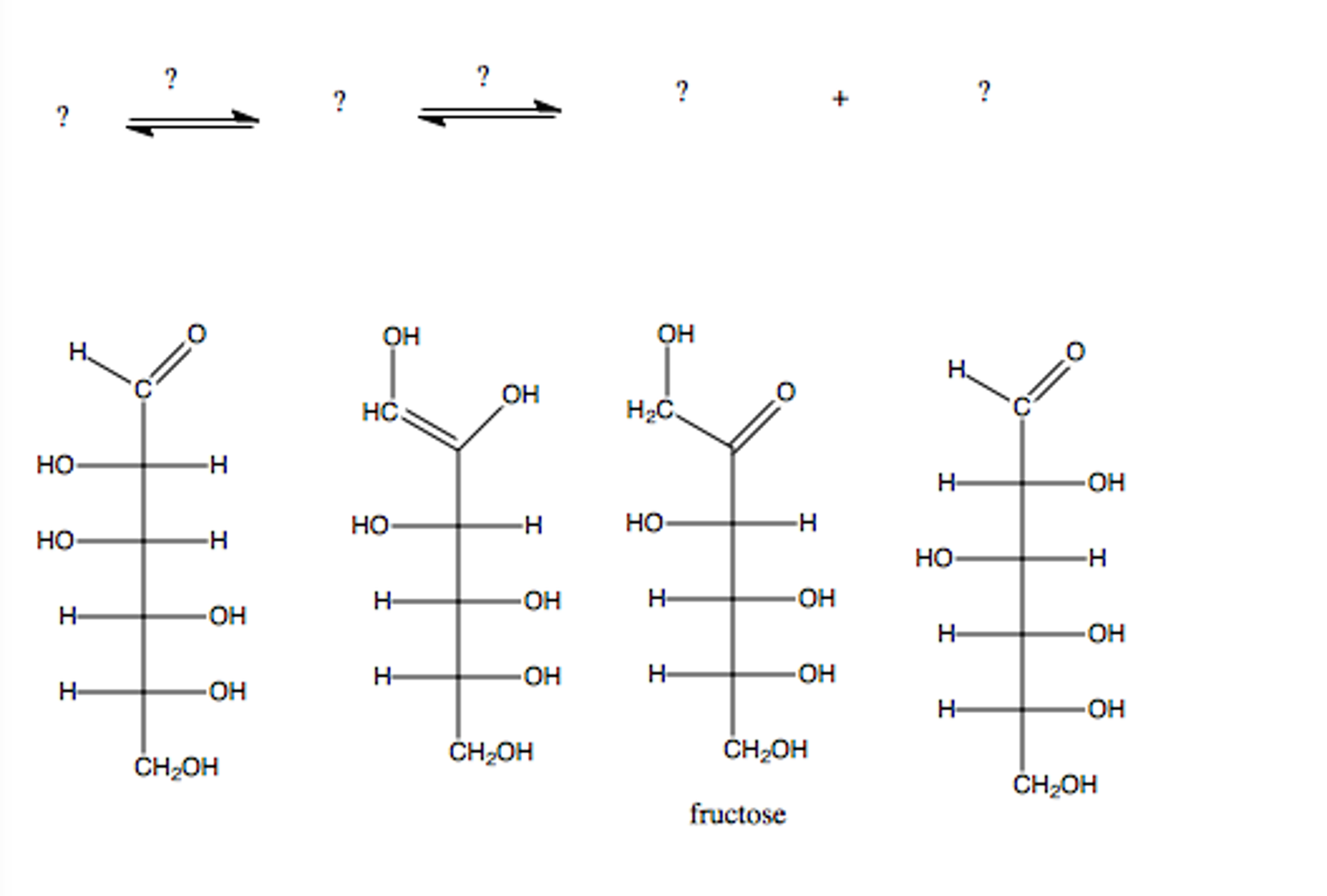 Solved Fructose, a ketose, is not strictly a reducing sugar, | Chegg.com