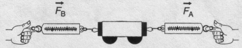 Solved (A)The spring scale in the diagram below reads 10.5N. | Chegg.com