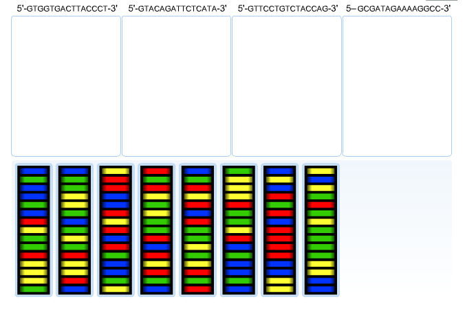 Solved A DNA fragment was sequenced using dideoxy DNA | Chegg.com