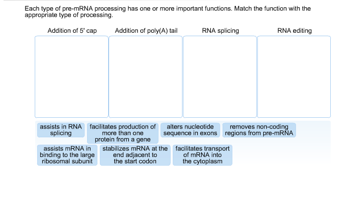 Solved Each type of pre-mRNA processing has one or more | Chegg.com
