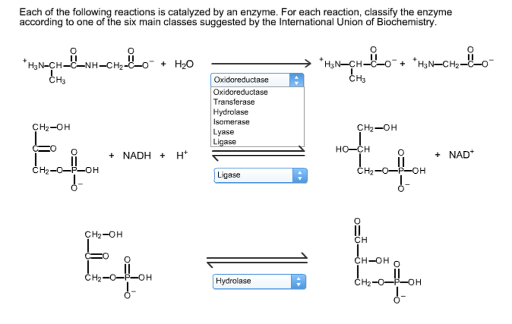 Solved Each of the following reactions is catalyzed by an | Chegg.com