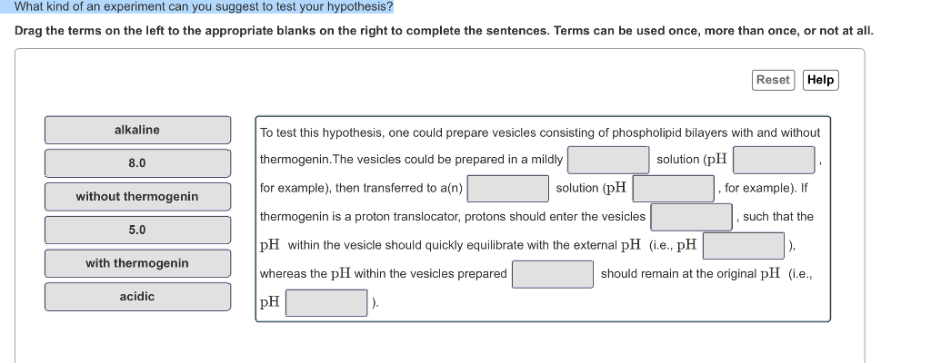 Solved Drag the terms on the left to the appropriate blanks | Chegg.com