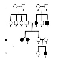 Solved 4. Sickle cell disease is an autosomal recessive | Chegg.com