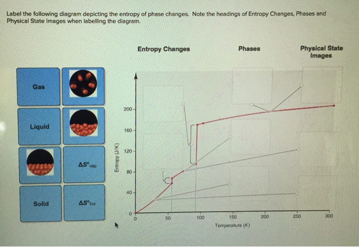 Solved Label the following diagram depicting the entropy of | Chegg.com Solved Label the following diagram depicting the entropy of | Chegg.com