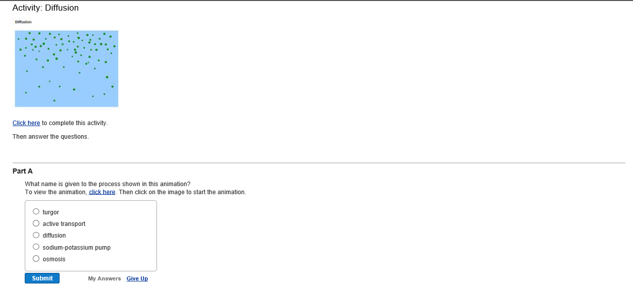Solved Activity Diffusion Diffusionn Click Here To Complete Chegg