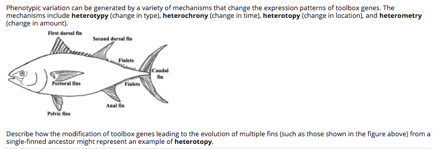 Solved Phenotypic variation can be generated by a variety of | Chegg.com