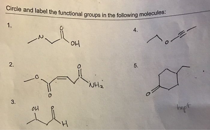 Solved Circle and label the functional groups molecules: in | Chegg.com