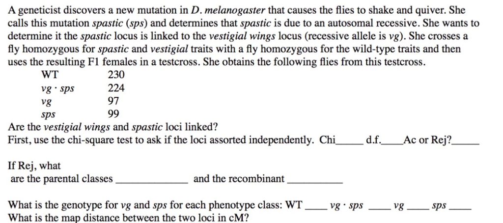 Solved A geneticist discovers a new mutation in D. | Chegg.com