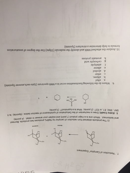 Solved 7,"Reduction of Camphor" Experiment (i) The products | Chegg.com
