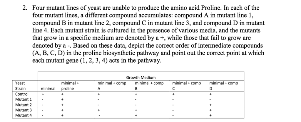 Solved Four mutant lines of yeast are unable to produce the | Chegg.com