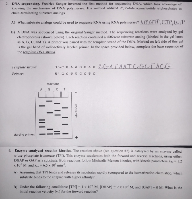 Solved DNA sequencing. Fredrick Sanger invented the first | Chegg.com