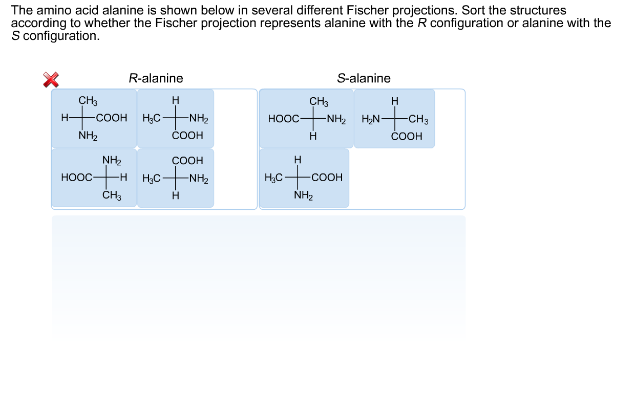 Solved The amino acid alanine is shown below in several | Chegg.com