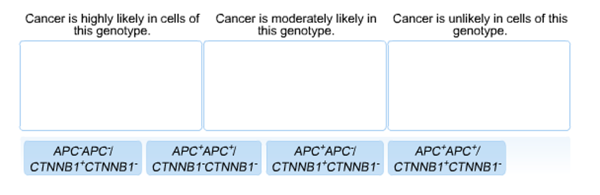 Solved The APC gene and the CTNNB1 gene interact to affect | Chegg.com