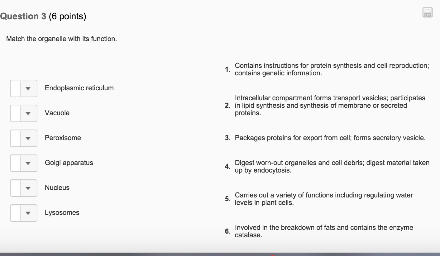 Solved Match the organelle with its function. Contains | Chegg.com