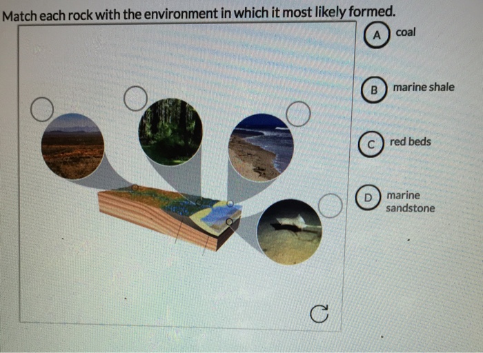 Solved Match each rock with the environment in which it most | Chegg.com