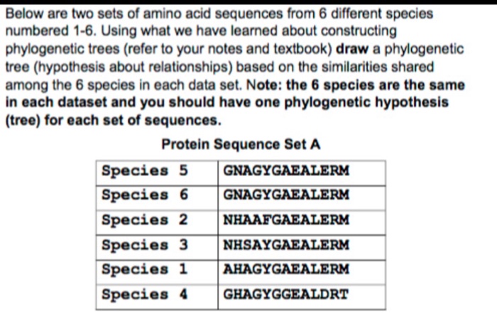 Solved Below are two sets of amino acid sequences from 6 | Chegg.com