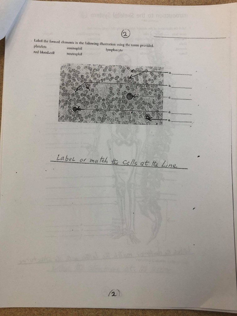 Solved 2. Label the formed elements in the following | Chegg.com