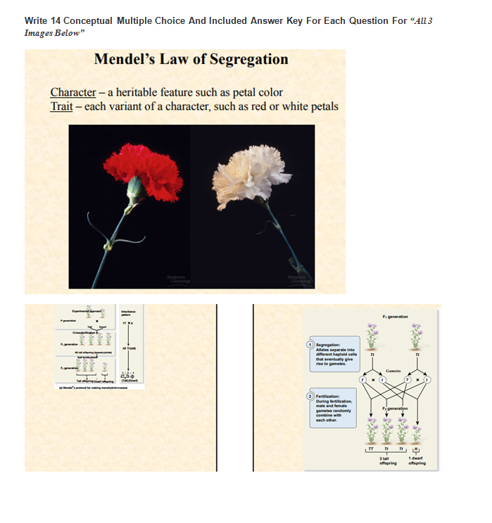 Solved Note: Write 14 Conceptual Multiple Choice And | Chegg.com
