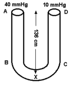 Consider the scenario where the horizontal tube | Chegg.com
