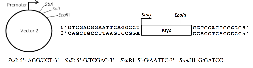 Solved Consider the following information to answer | Chegg.com