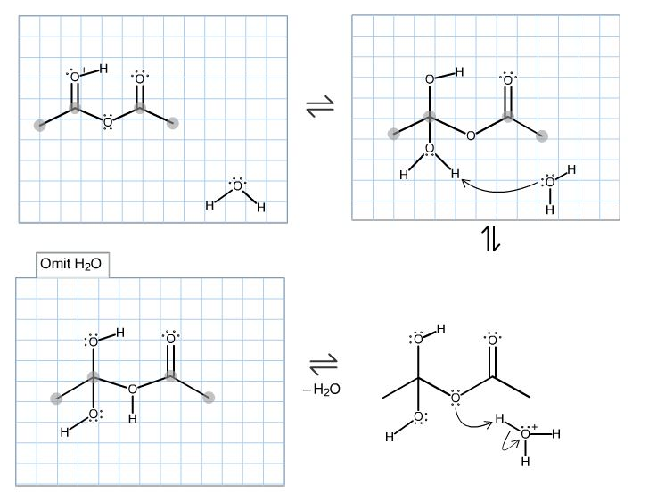 Acid Catalyzed Hydrolysis Mechanism