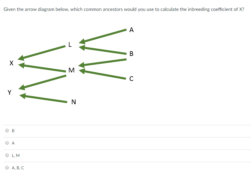 Solved Given the arrow diagram below, which common ancestors | Chegg.com