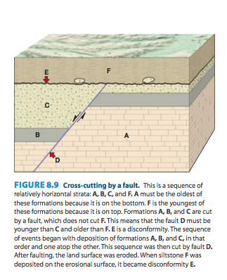 Solved ACTIVITY 8.2 Determining Sequence of Events in | Chegg.com