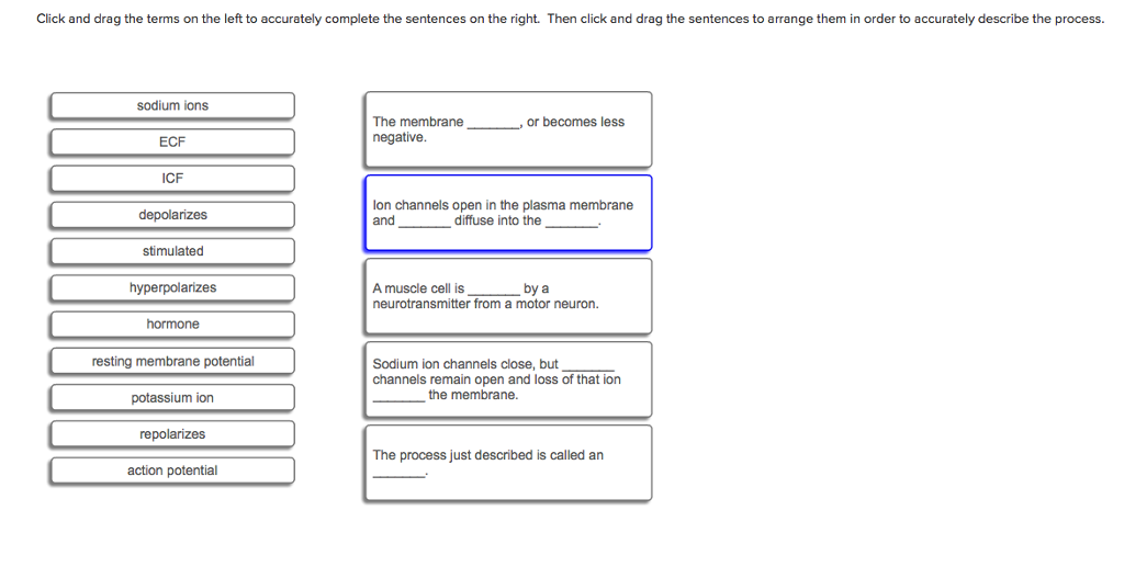 Solved Click and drag the terms on the left to accurately | Chegg.com
