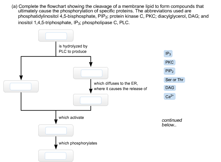 Solved Complete the flowchart showing the cleavage of a | Chegg.com