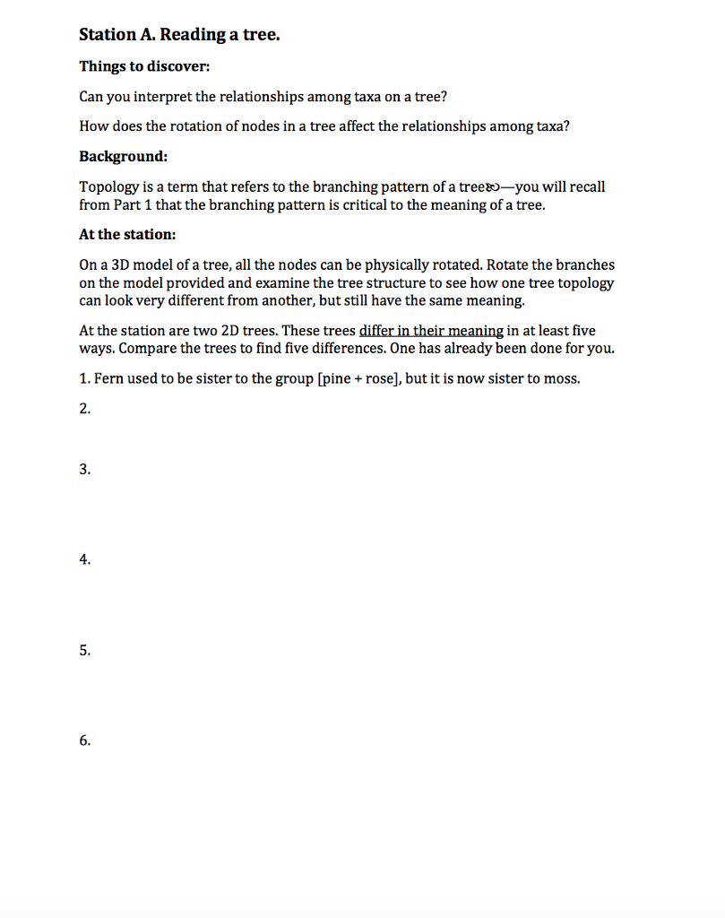 Solved Rose Pine Fern Algae Moss | Chegg.com