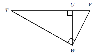 Solved what similarity statement can you write relating the | Chegg.com