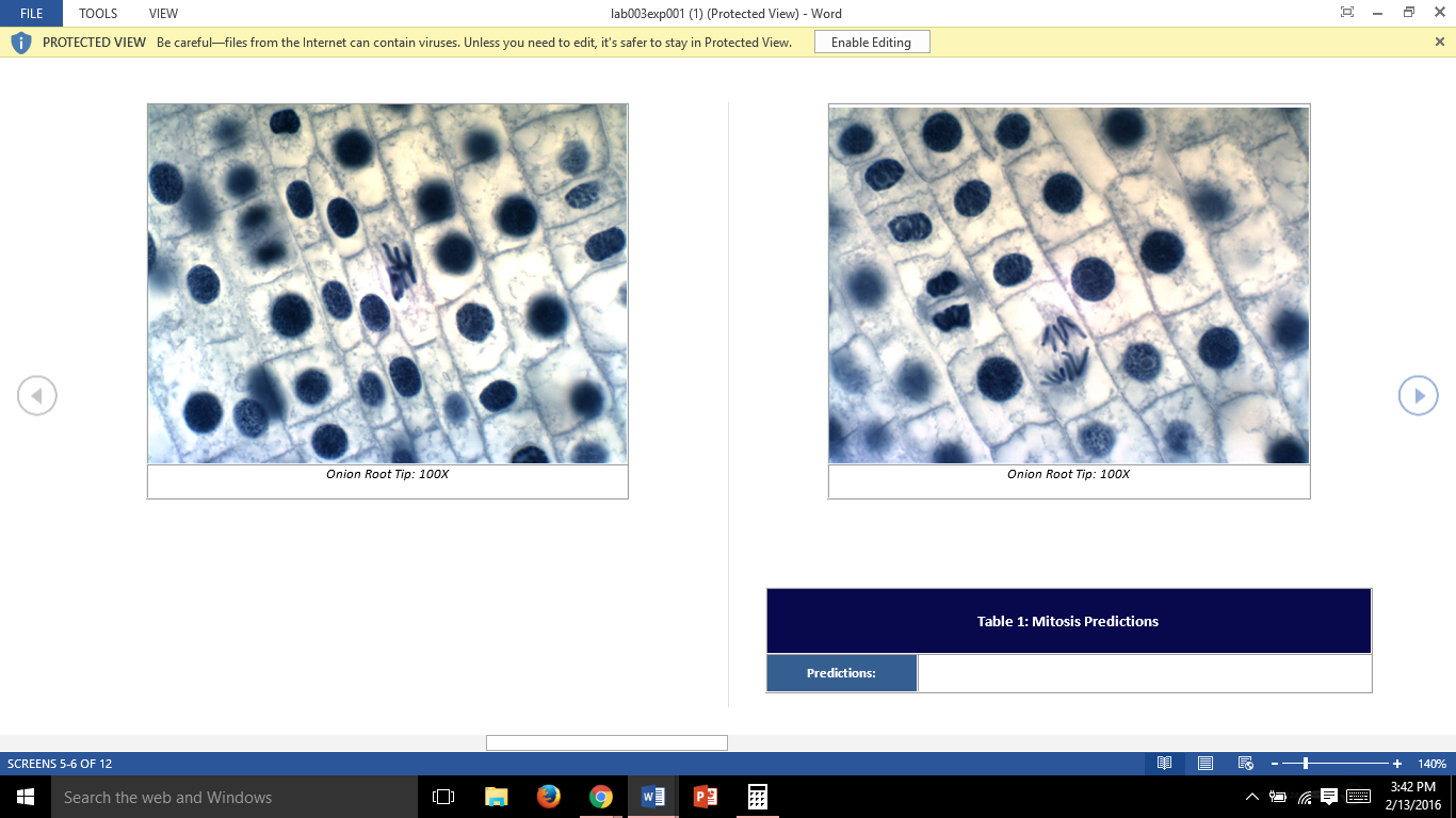 Solved Lab003exp001 1 Protected View Word File Tools