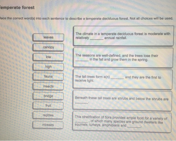 Solved Place the correct word(s) into each sentence to | Chegg.com