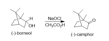 I performed this oxidation of borneol to camphor. My | Chegg.com