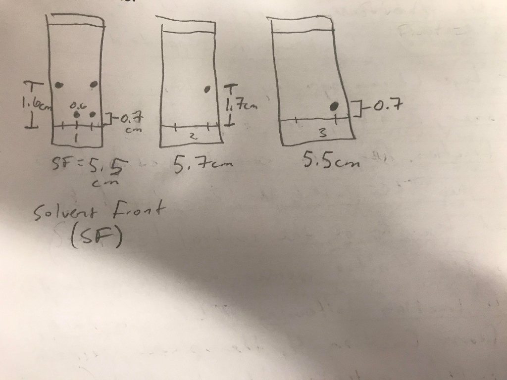 Solved How do I calculated the Rf values from that data | Chegg.com