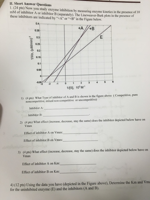 Solved Now you study enzyme inhibition by measuring enzyme | Chegg.com
