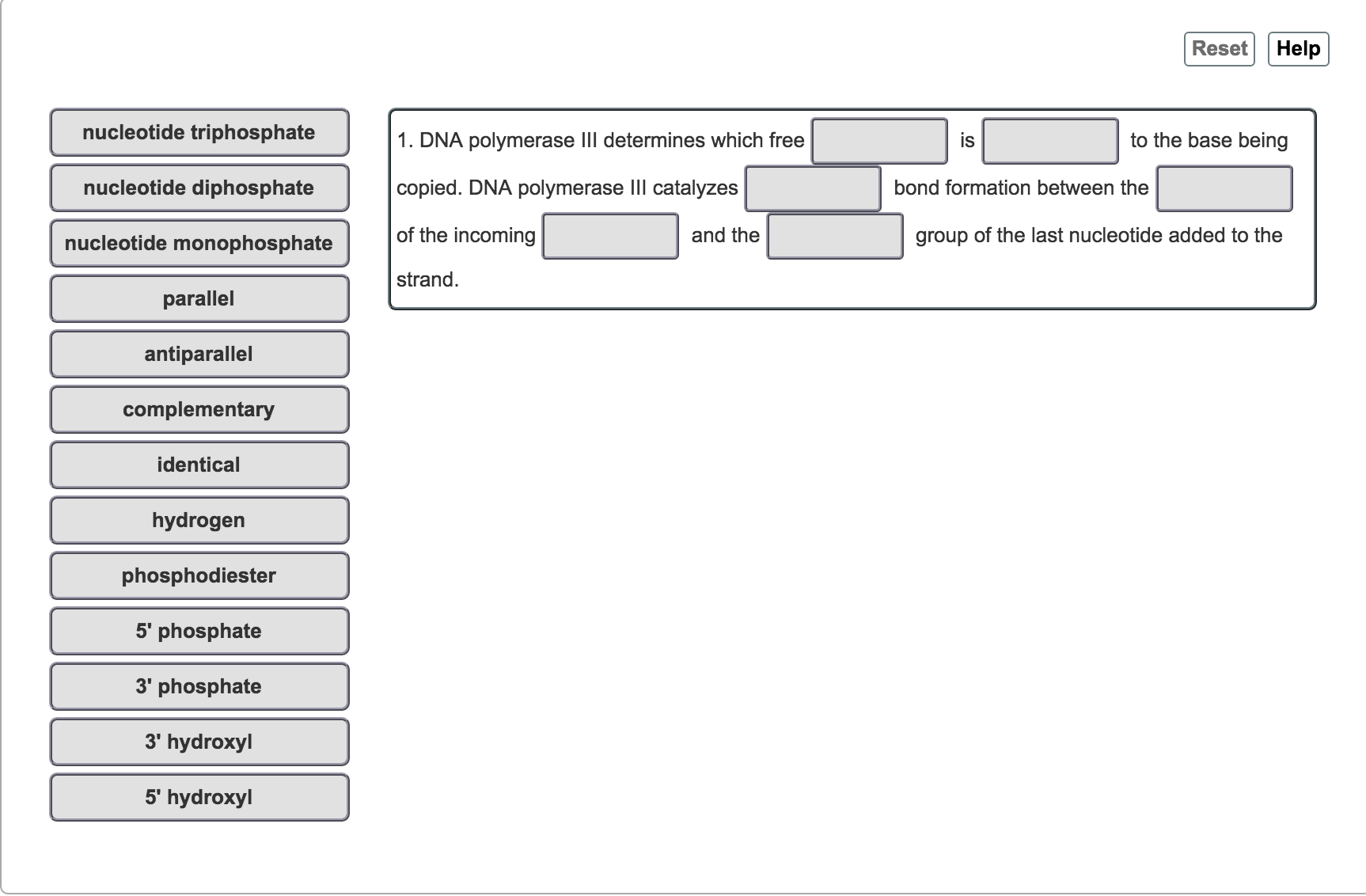 Solved DNA polymerase III is the main DNA-synthesizing | Chegg.com
