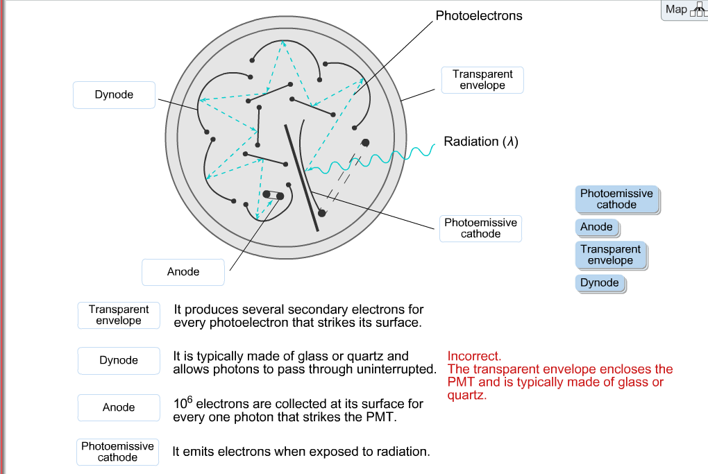 Solved Label the components of the photomultiplier tube | Chegg.com